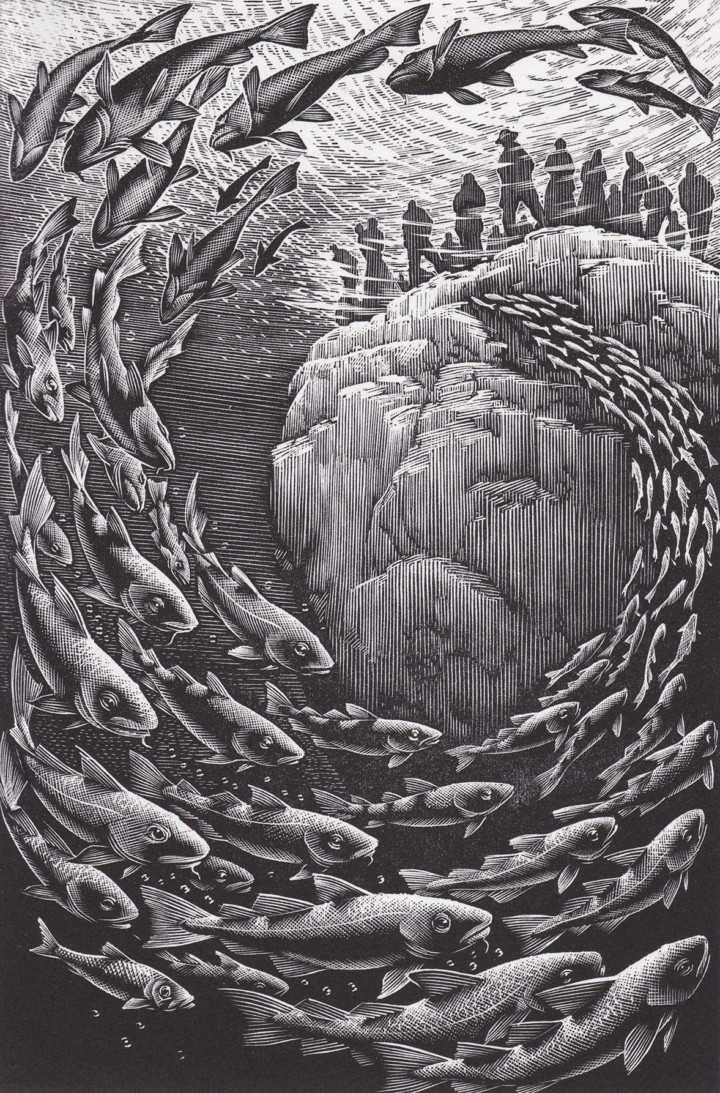 Andrew Davidson's stunning engravings for Ransom Riggs' Tales of the ...