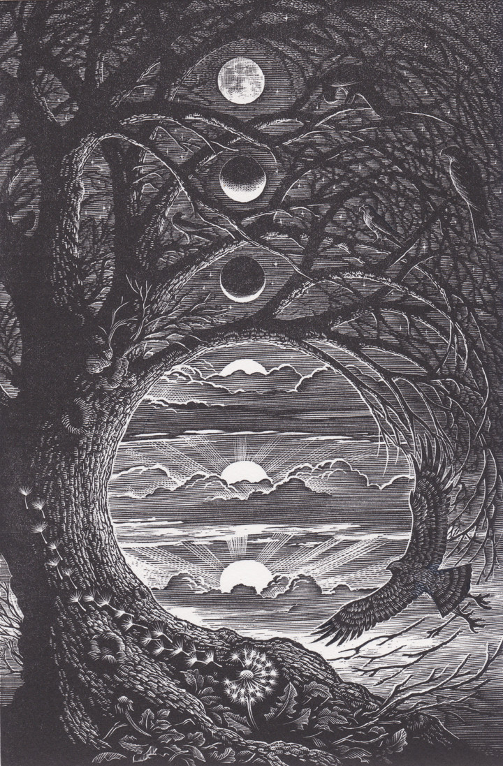 Andrew Davidson's stunning engravings for Ransom Riggs' Tales of the ...