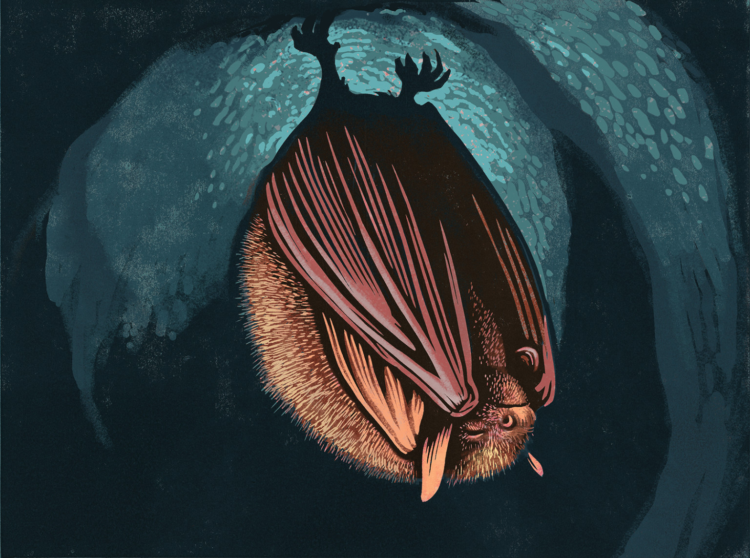 Chris Wormell's enchanting hibernating animal series for the Royal Mail ...