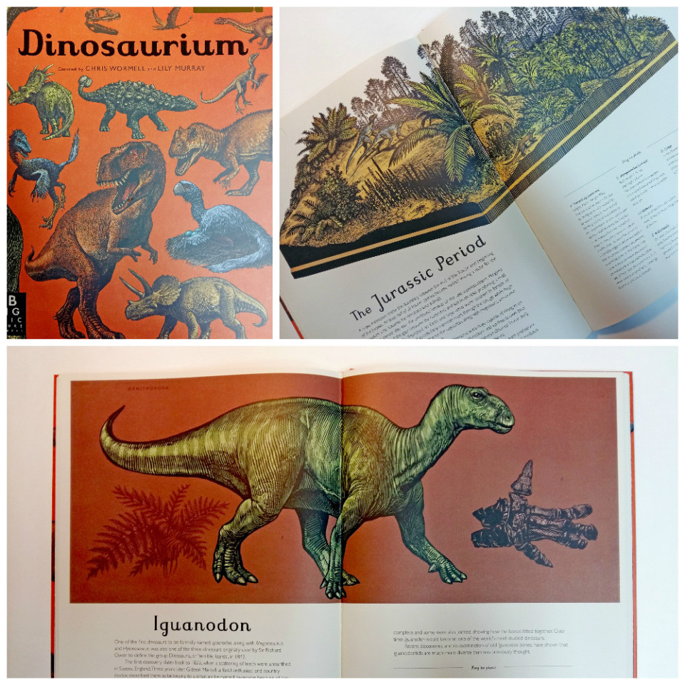 Welcome to the Museum! Step Inside Chris Wormell's beautifully ...
