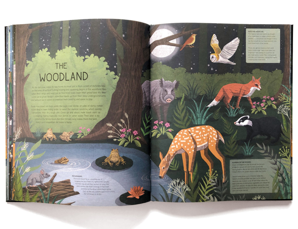 Lucy Rose Cartwright illustrates her first ever children's book When ...