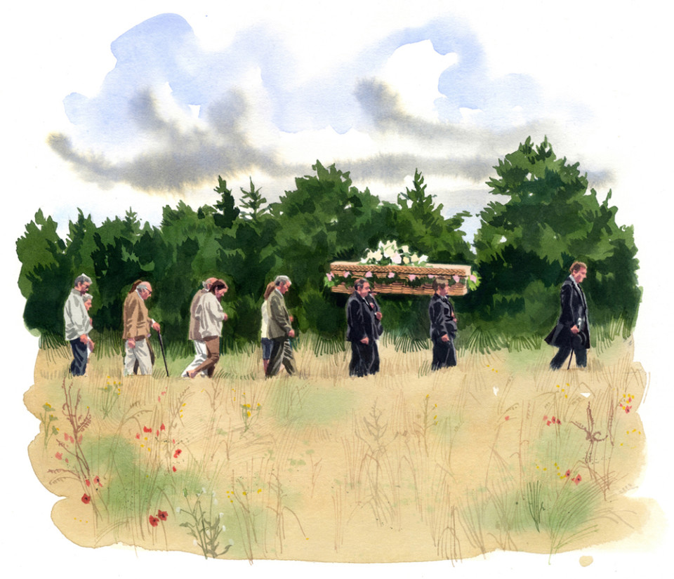 Meet the Artists - Matthew Cook - The Artworks Illustration Agency