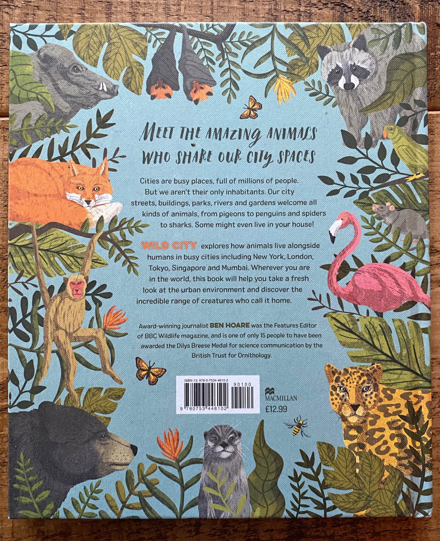 "Wild City", fully illustrated by Lucy Rose is out now! - The Artworks ...